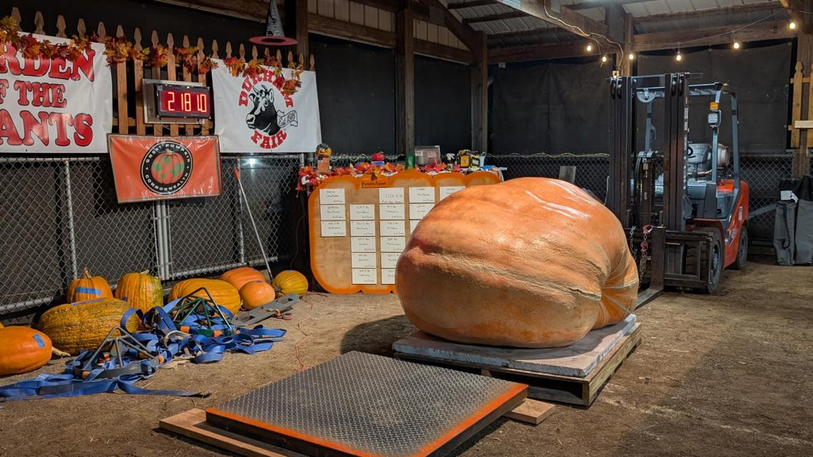105th Durham Fair showcases record 2,181-pound pumpkin and 10,000 ...