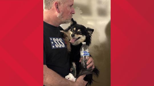 Harrowing tail: Dog rescued after getting trapped in escalator | kens5.com