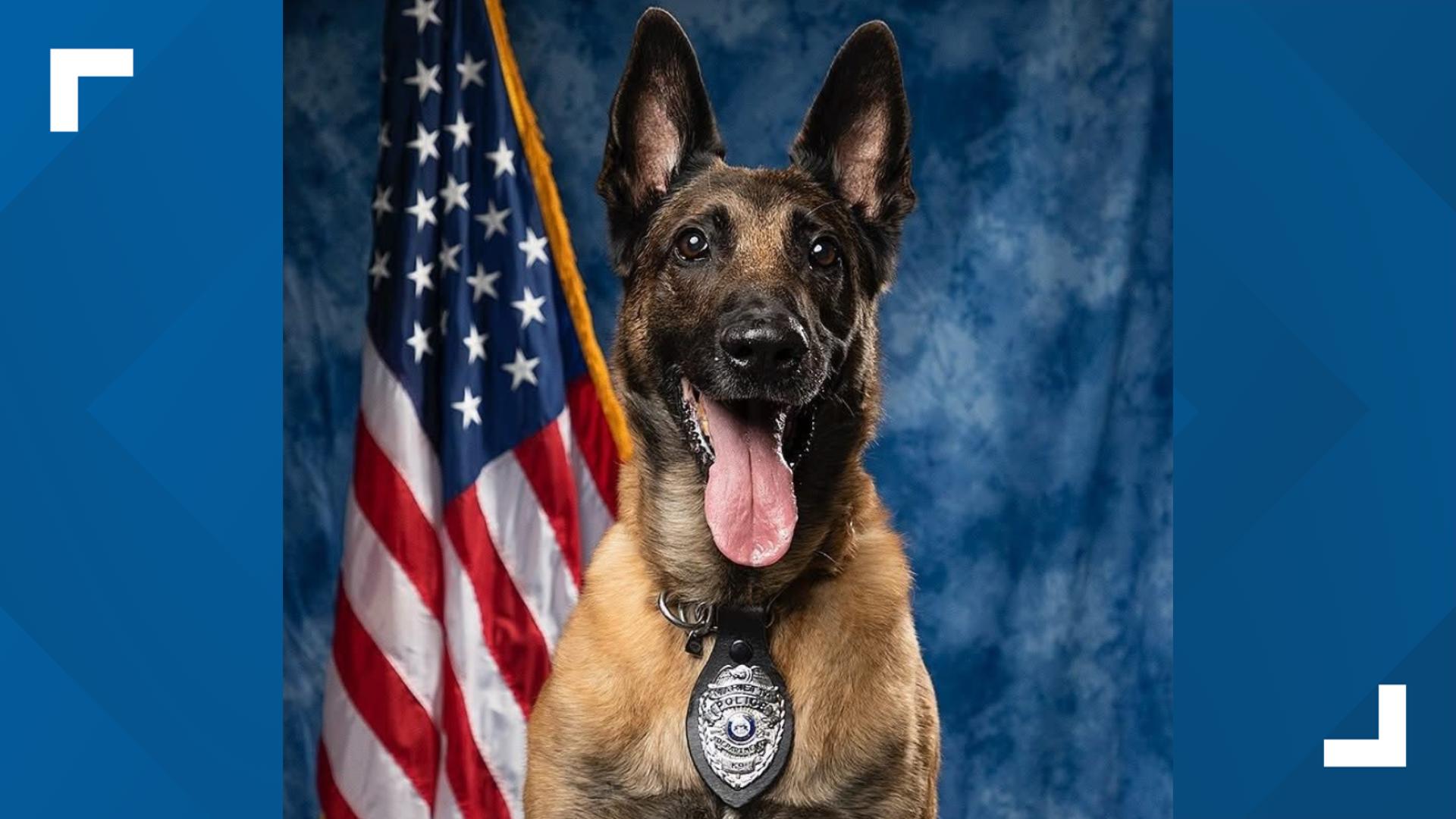 Marietta Police retired K9 Atos passes away department says | kens5.com